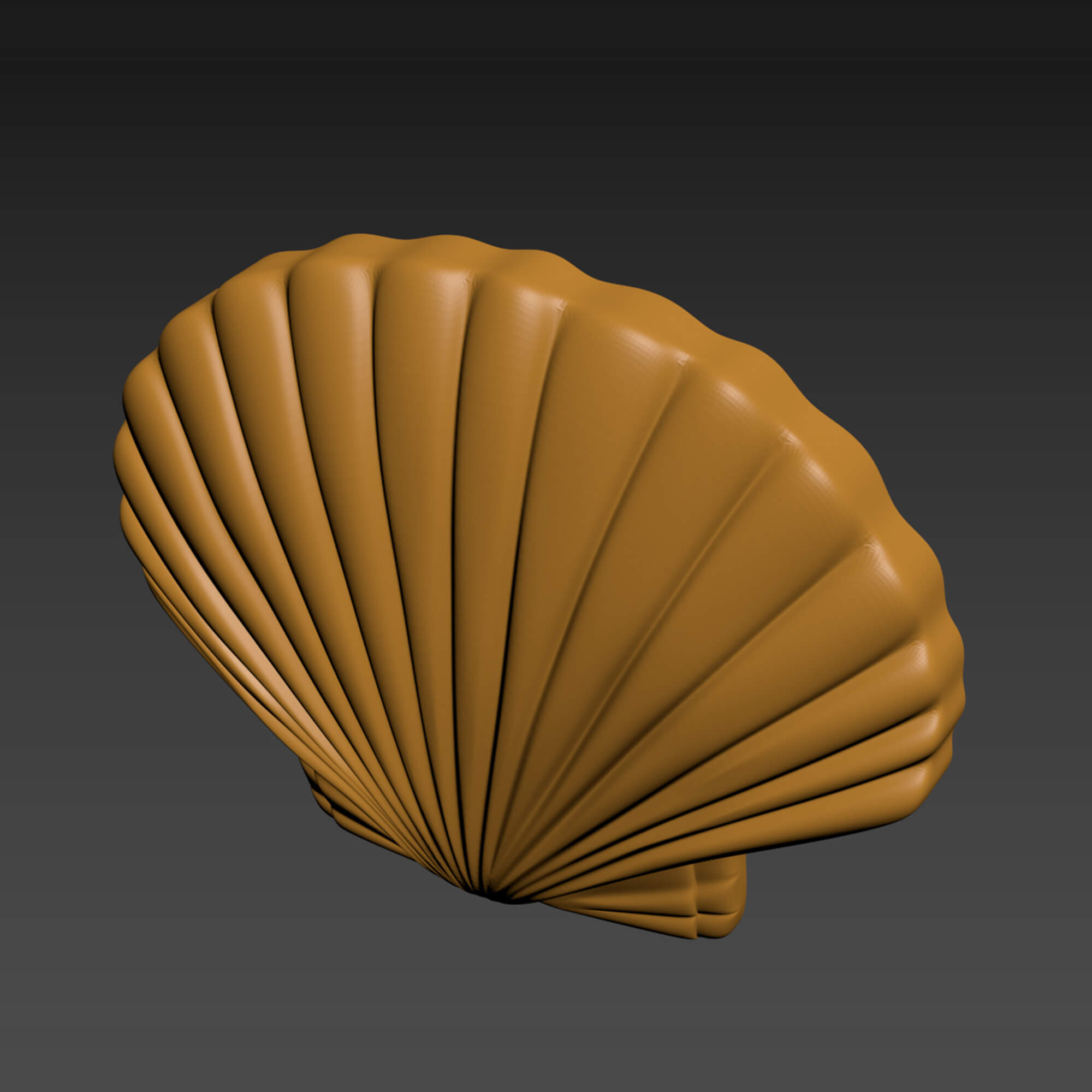 Seashell Shell Pearl Shell - 3D Model by 3DRelief