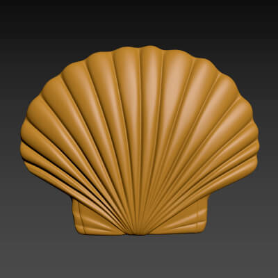 Seashell Shell Pearl Shell - 3D Model by 3DRelief