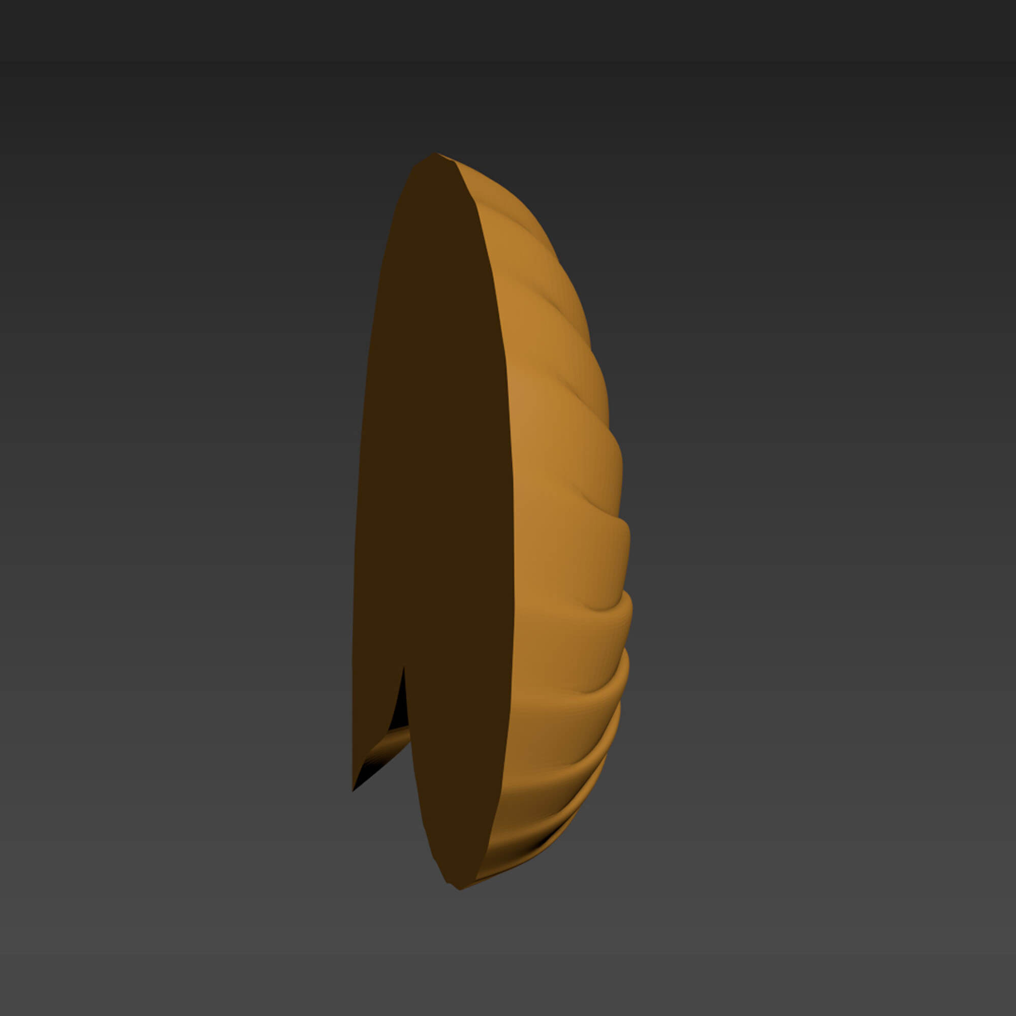 Seashell Shell Clamshell - 3D Print Model by 3DRelief