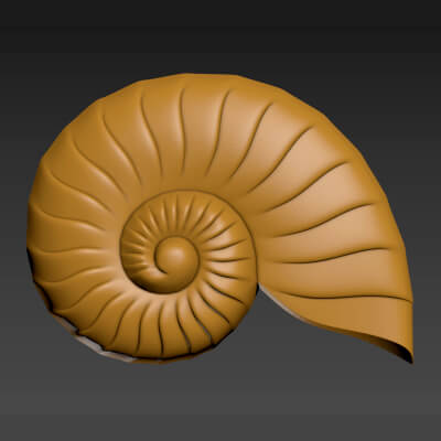 Seashell Shell Clamshell - 3D Print Model by 3DRelief