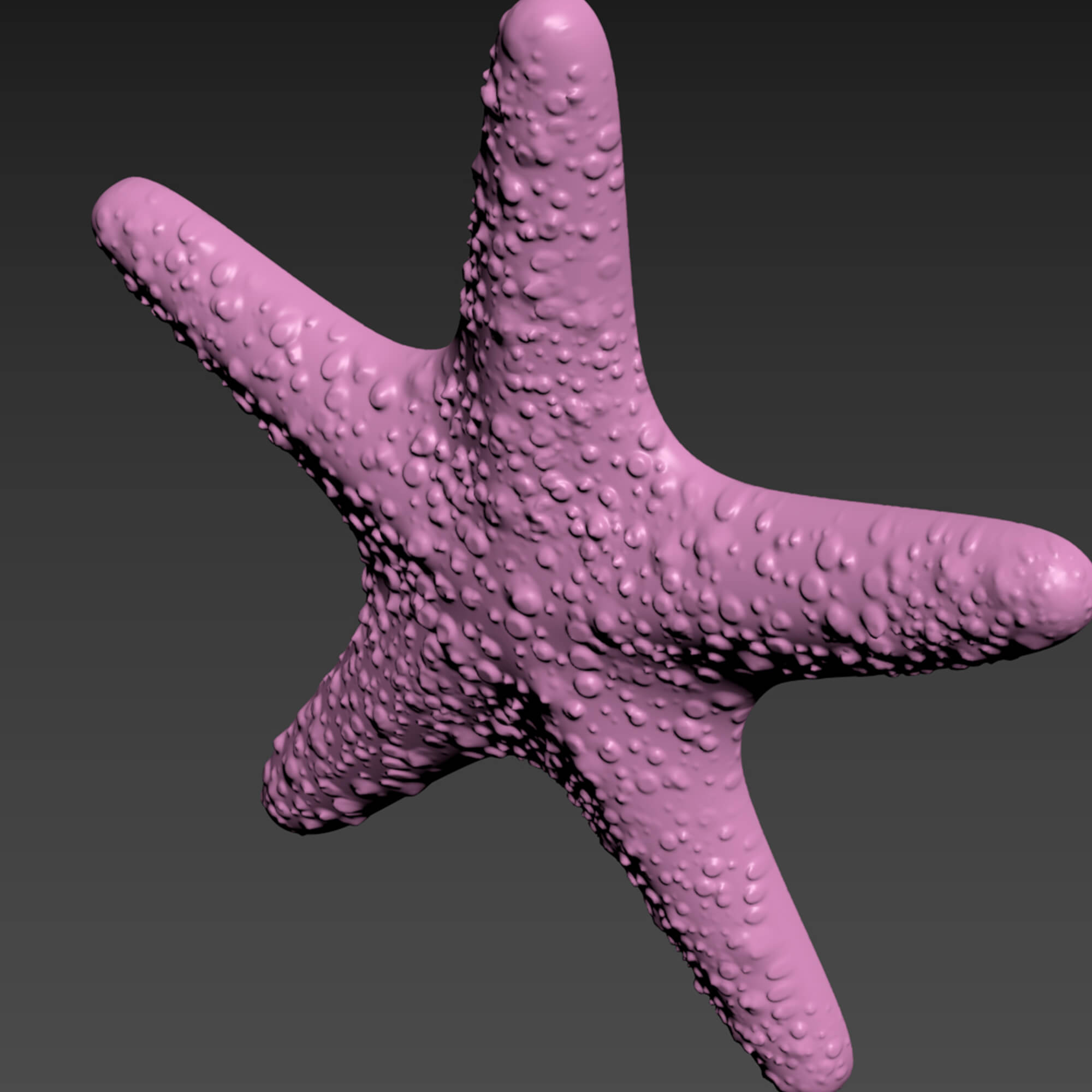 Starfish Sea Star - 3D Model by 3DRelief