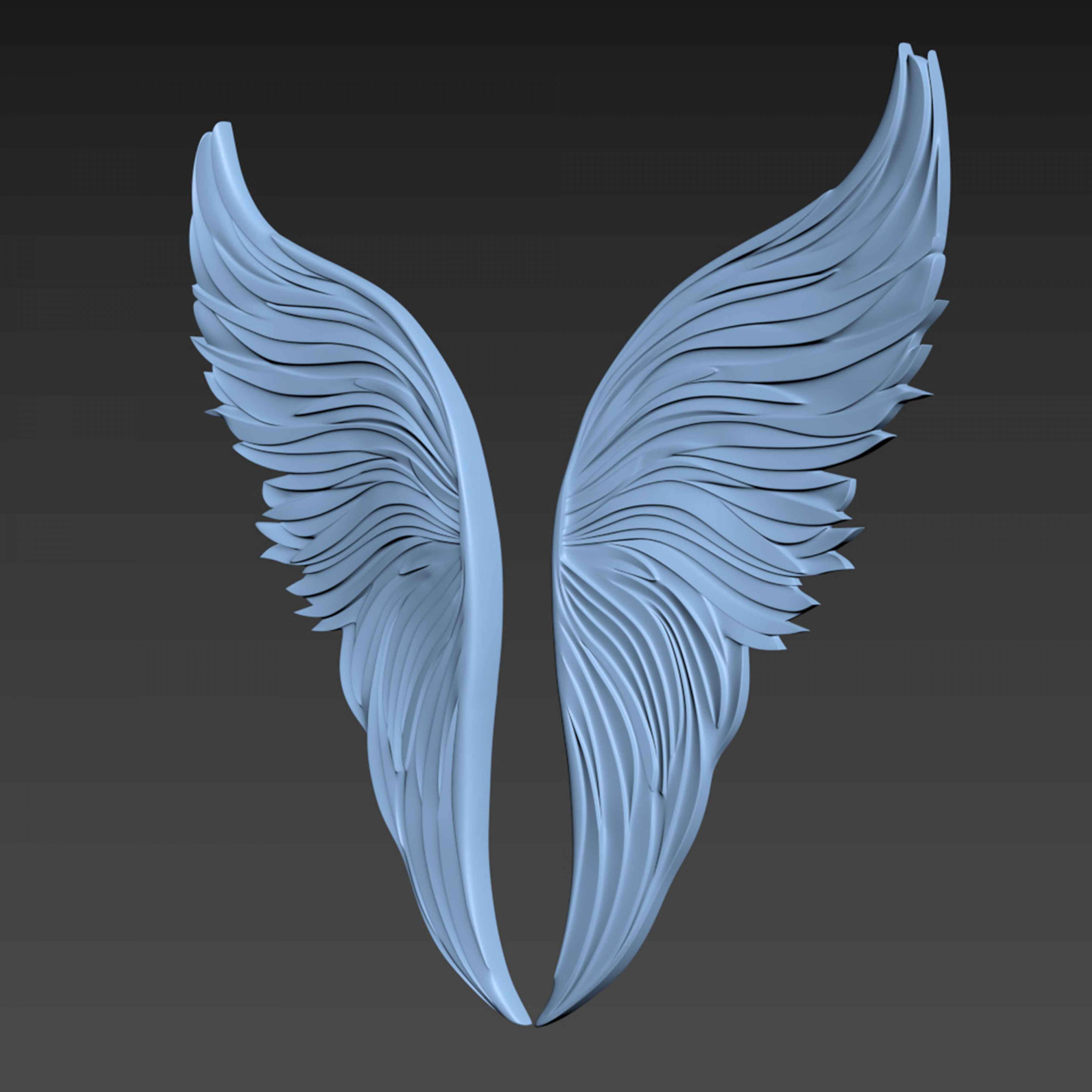 Wings Relief - 3D Print Model by 3DRelief