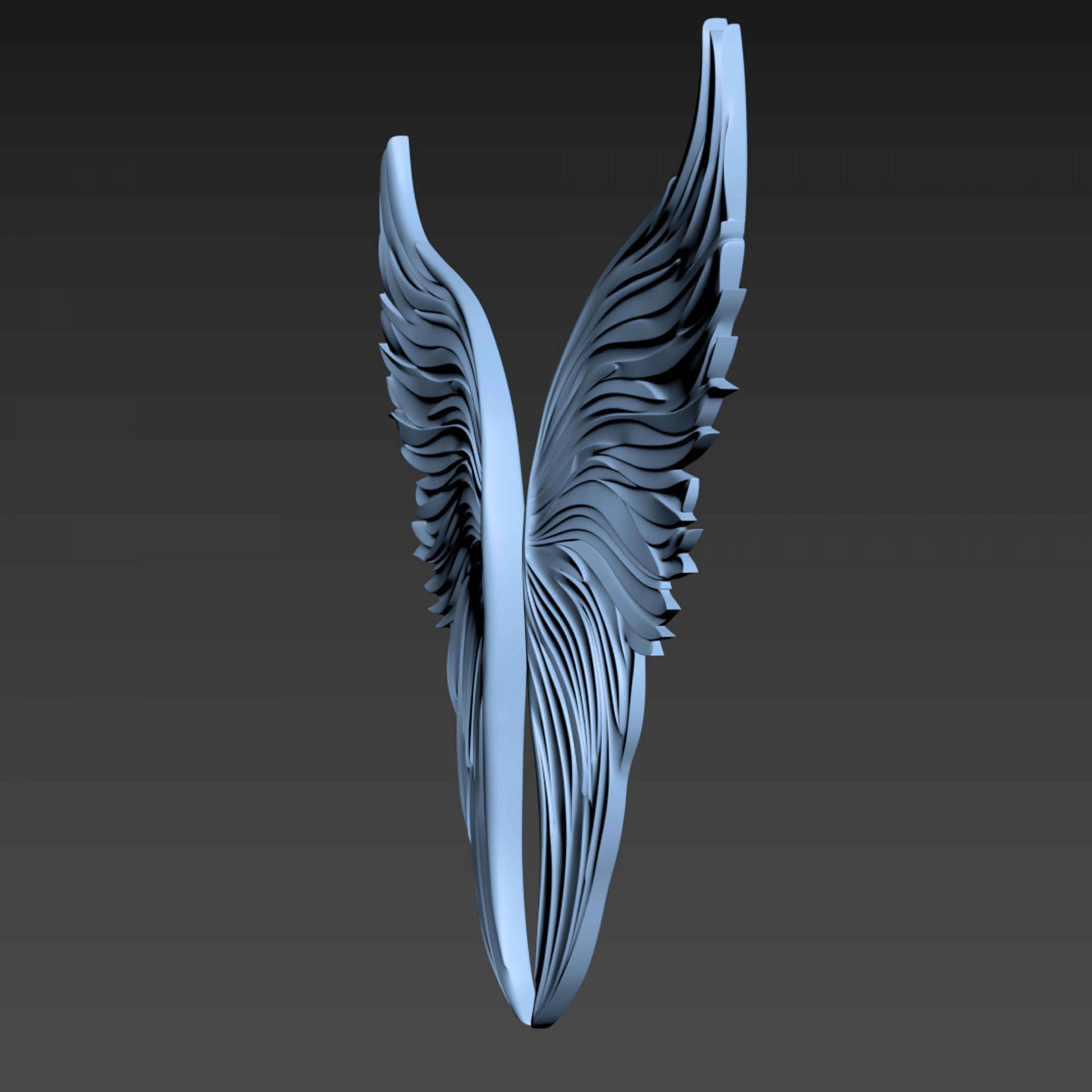 Wings Relief - 3D Print Model by 3DRelief
