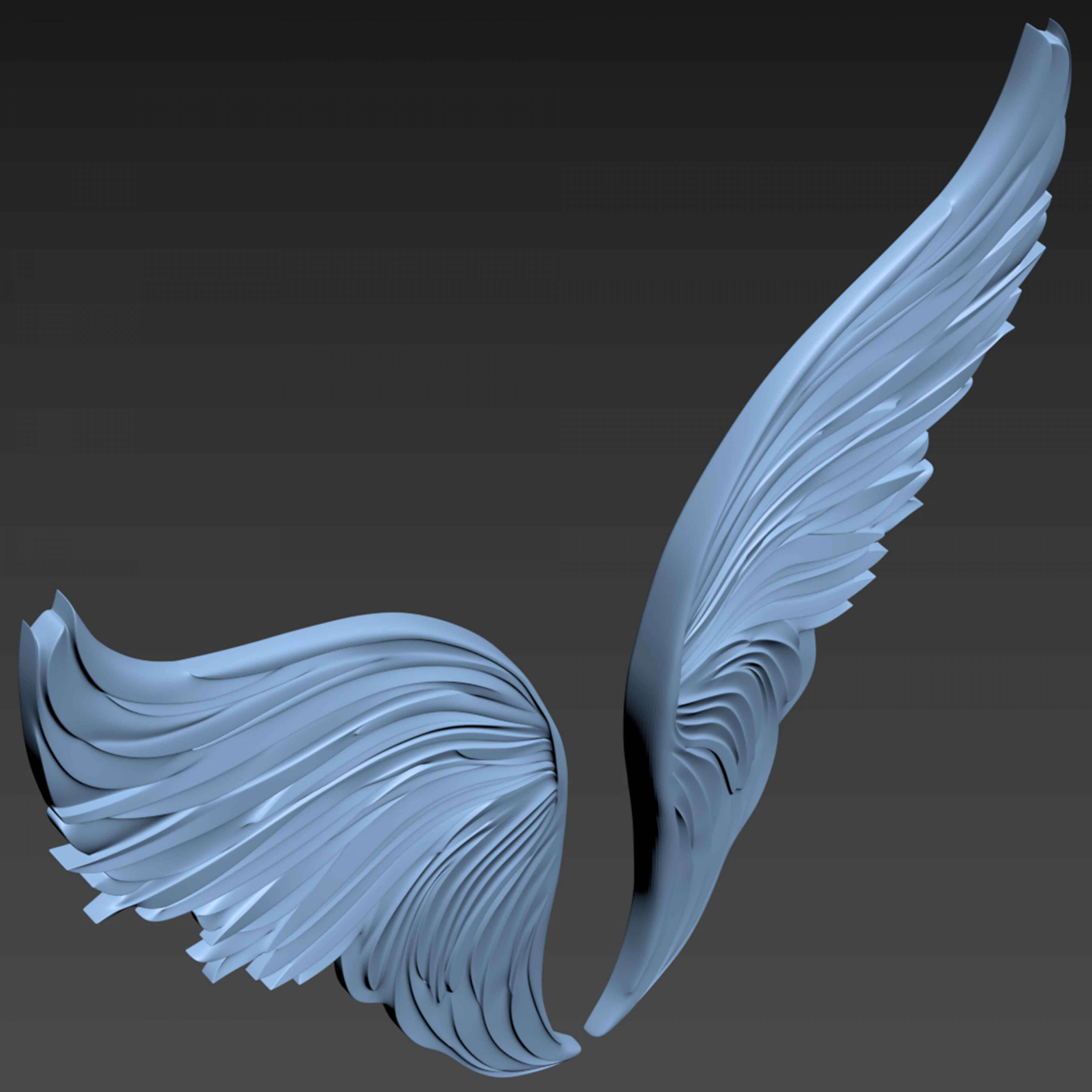 Wings Relief - 3D Print Model by 3DRelief