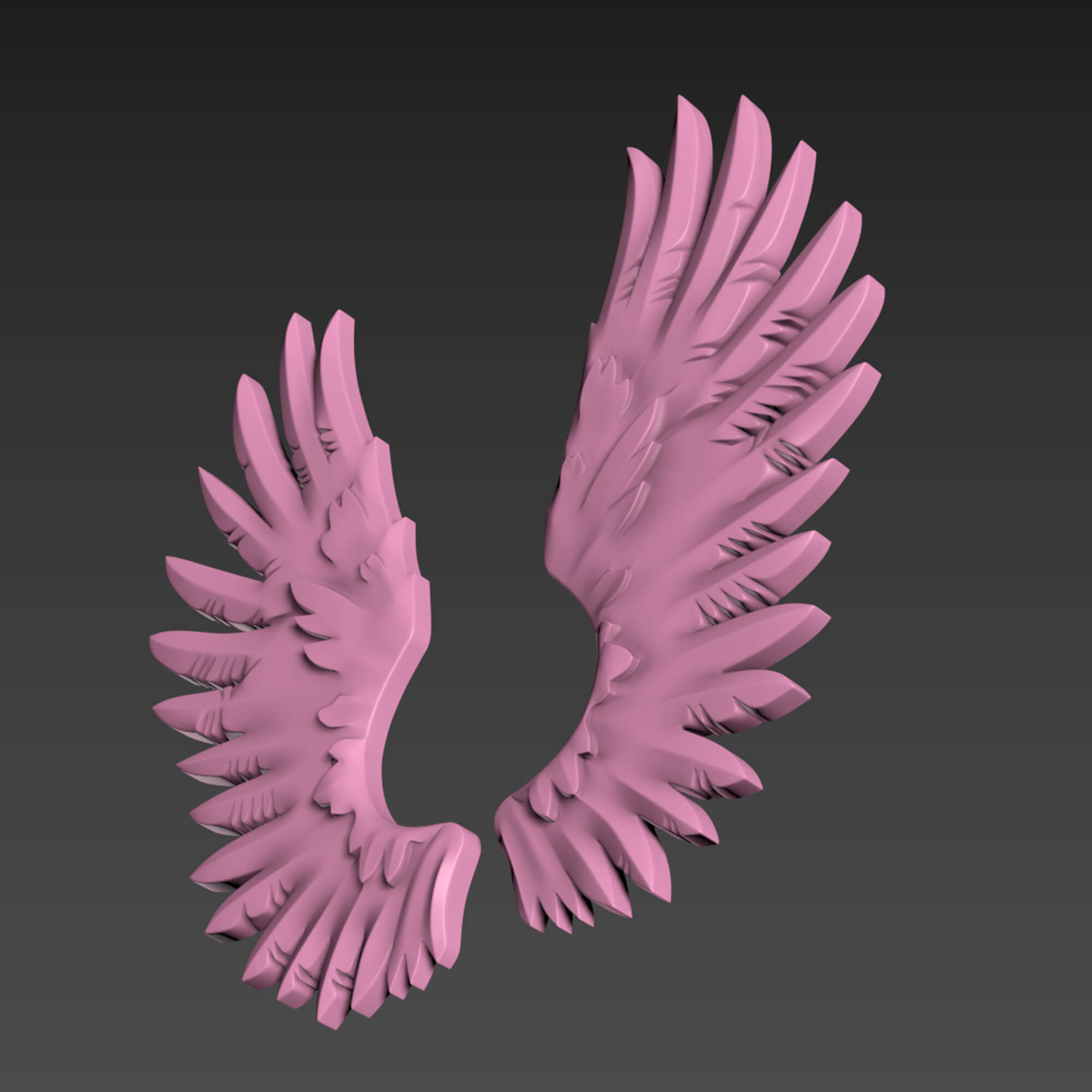 Wings Relief - 3D Model by 3DRelief