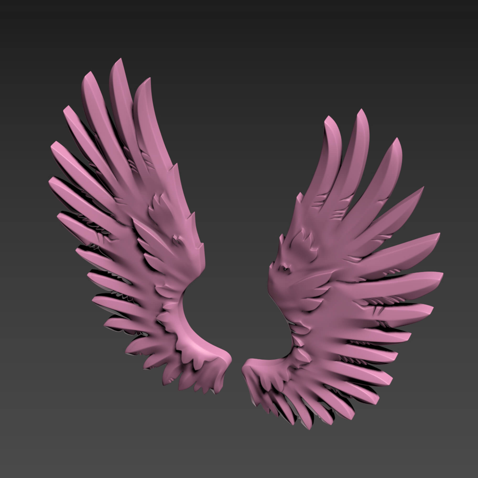Wings Relief - 3D Model by 3DRelief