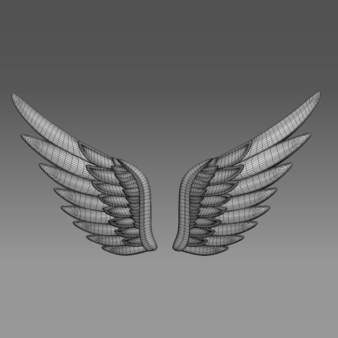 Wings Relief - 3D Model by 3DRelief