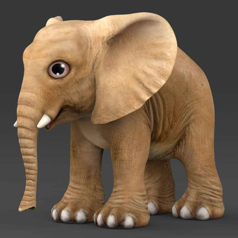 Baby Elephant - 3D Model by 3dseller