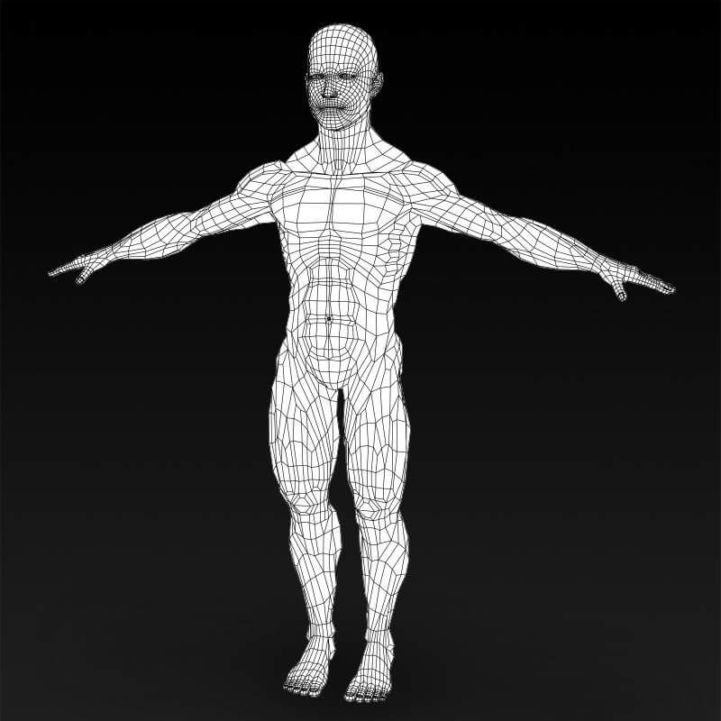 Muscular Human Male Character - 3D Model by 3dseller