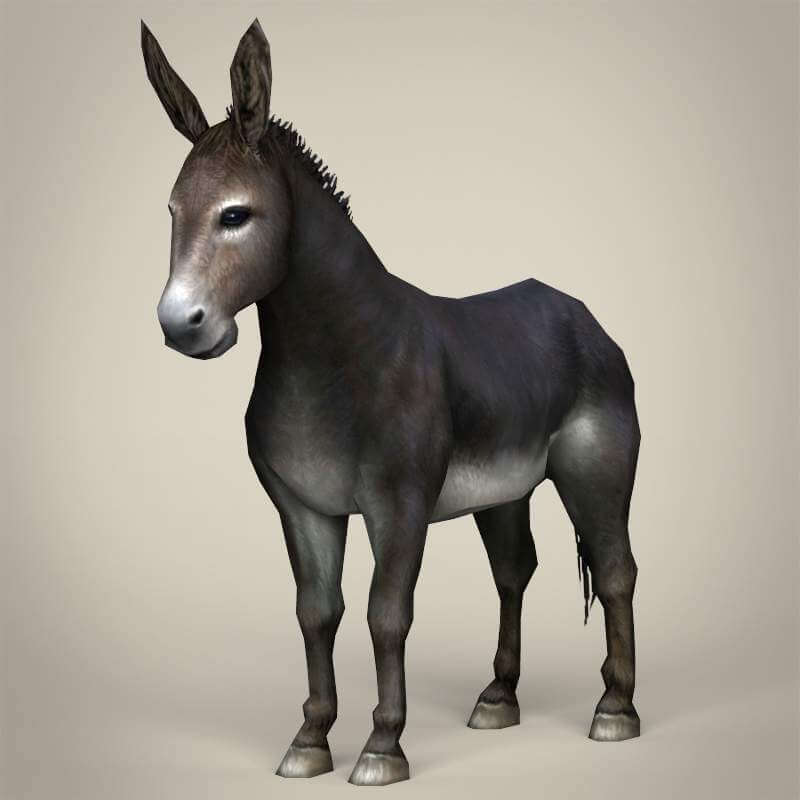 Donkey - 3D Model by 3dseller