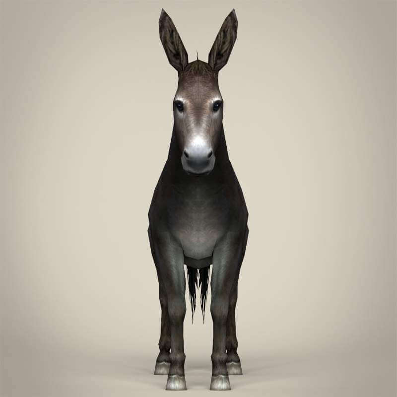 Donkey - 3D Model by 3dseller