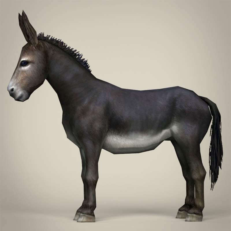 Donkey - 3D Model by 3dseller