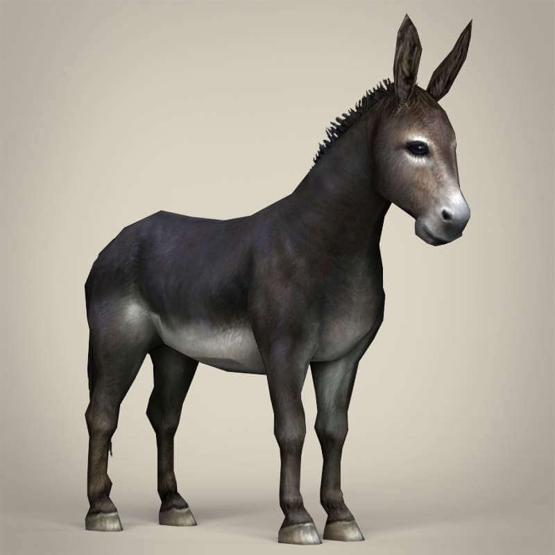 Donkey - 3D Model by 3dseller