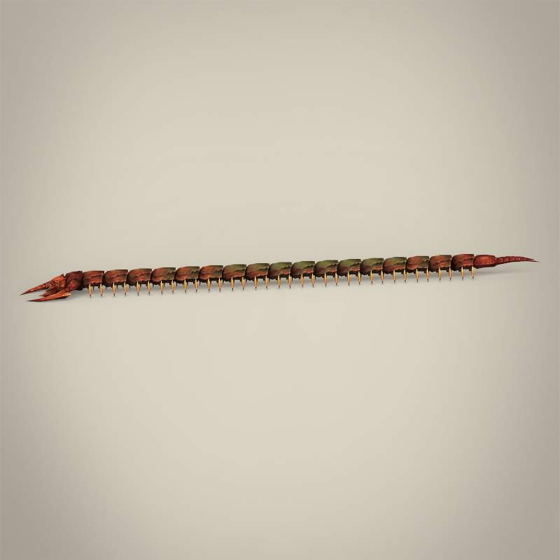 Centipede - 3D Model by 3dseller