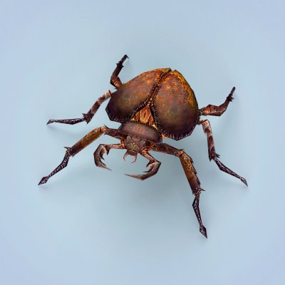Fantasy Monster Bug - 3D Model by 3dseller