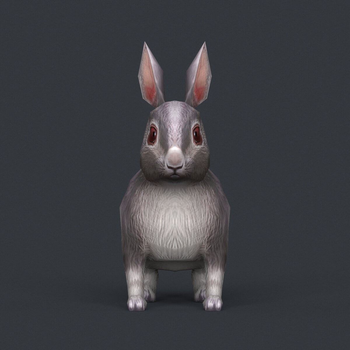 Rabbit - 3D Model by 3dseller
