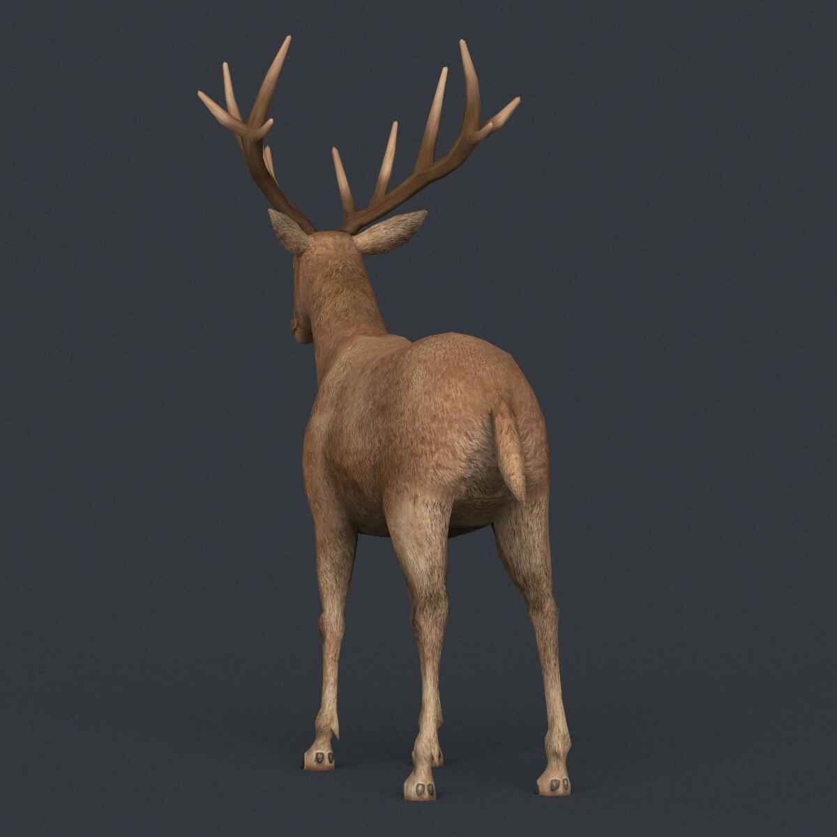 Deer - 3D Model by 3dseller