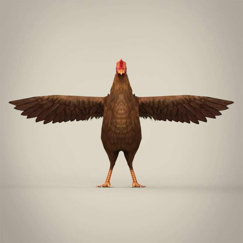 Hen - 3D Model by 3dseller