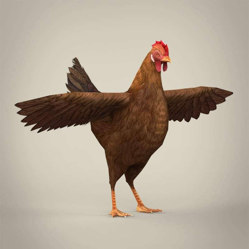 Hen - 3D Model by 3dseller
