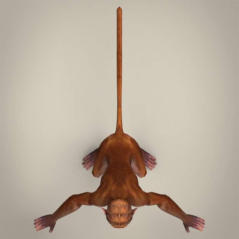 Monkey - 3D Model by 3dseller