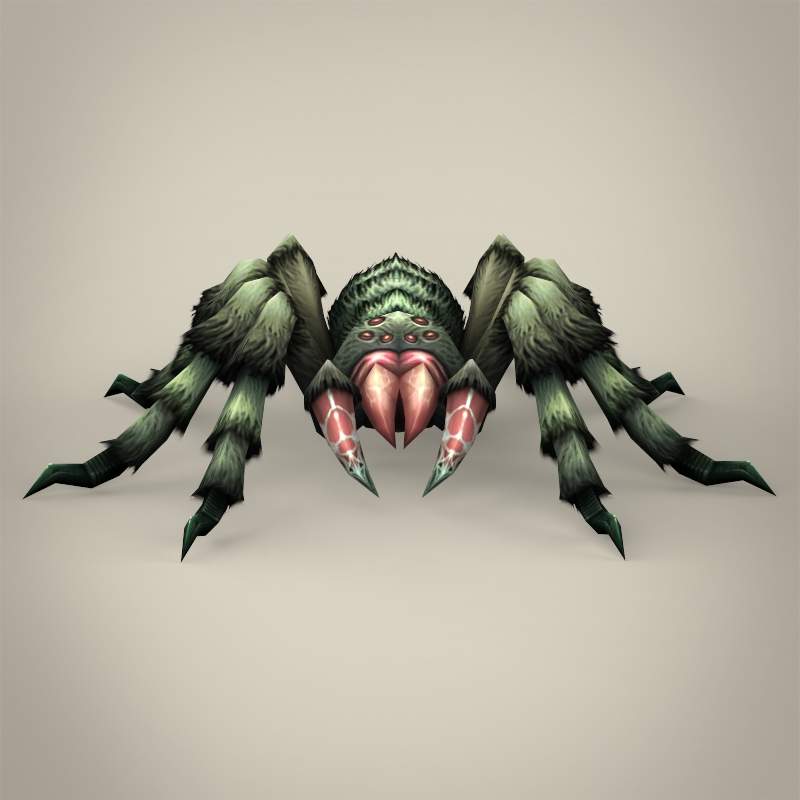Spider Tarantula - 3D Model by 3dseller