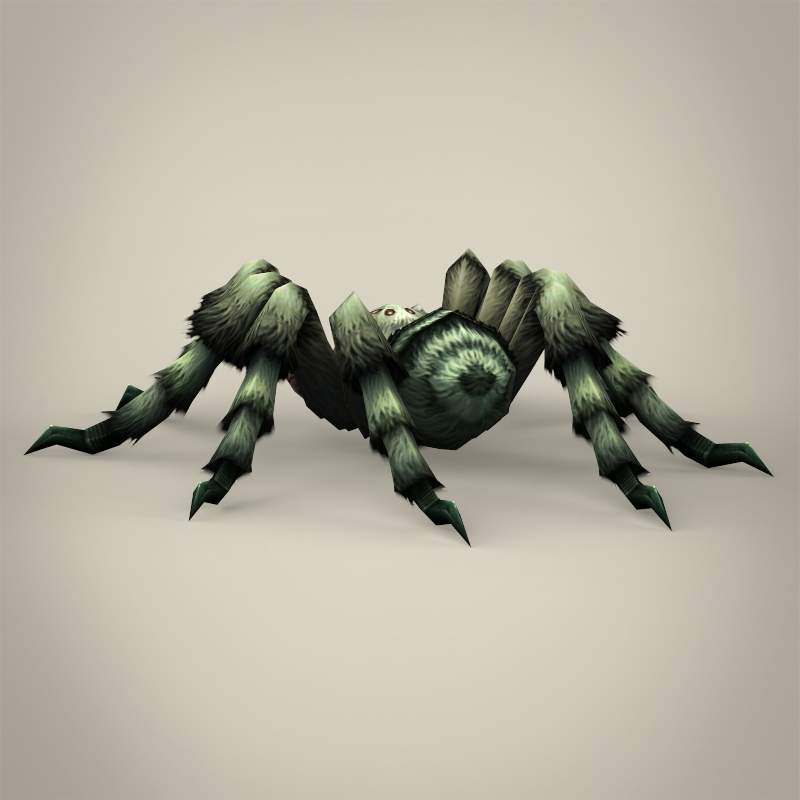 Spider Tarantula - 3D Model by 3dseller