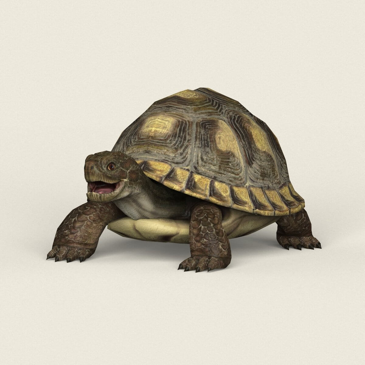 Tortoise - 3D Model by 3dseller