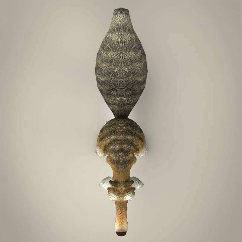 Scrat from Ice Age - 3D Model by 3dseller