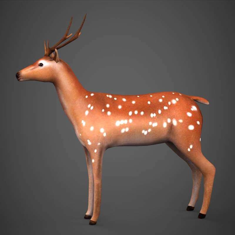 Deer - 3D Model by 3dseller