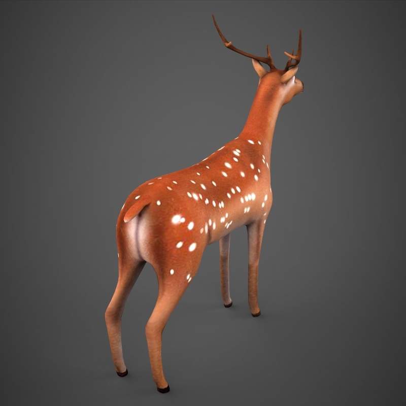 Deer - 3D Model by 3dseller