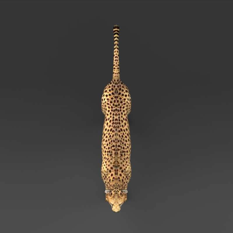 Leopard - 3D Model by 3dseller