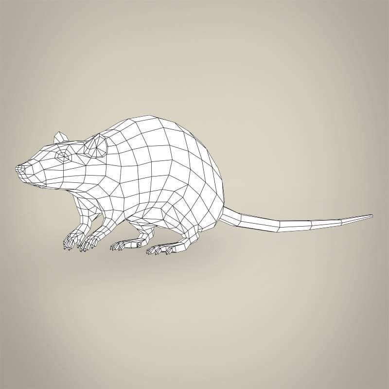 Rat - 3D Model by 3dseller