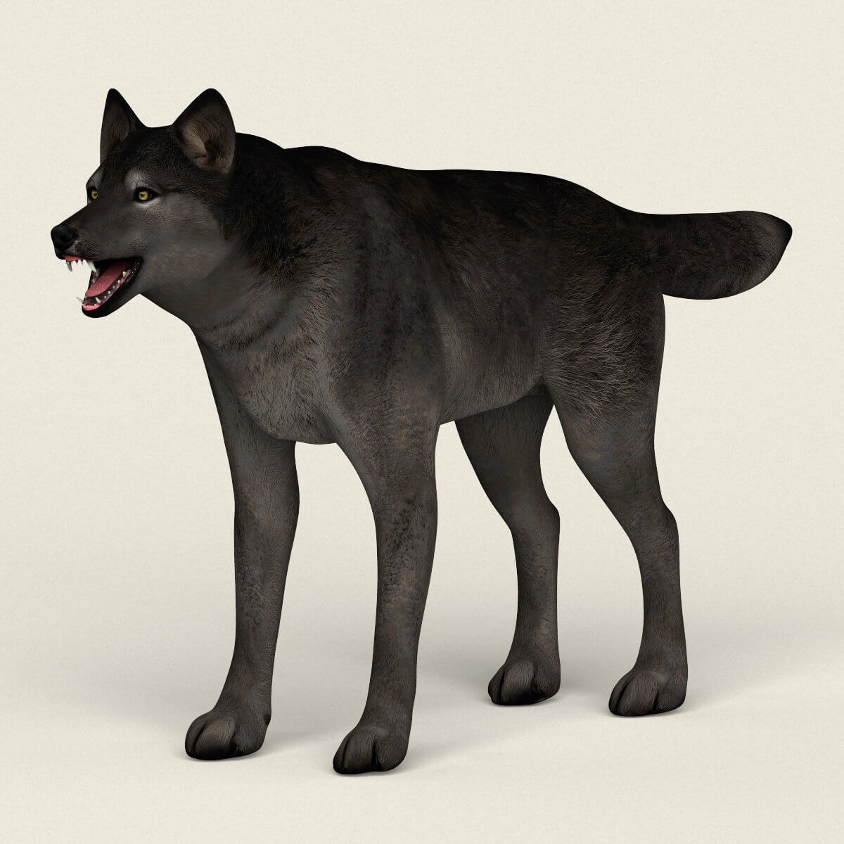 Black Wolf - 3D Model by 3dseller