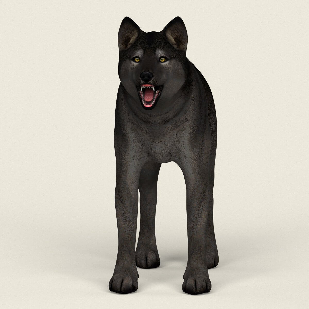 Black Wolf - 3D Model by 3dseller