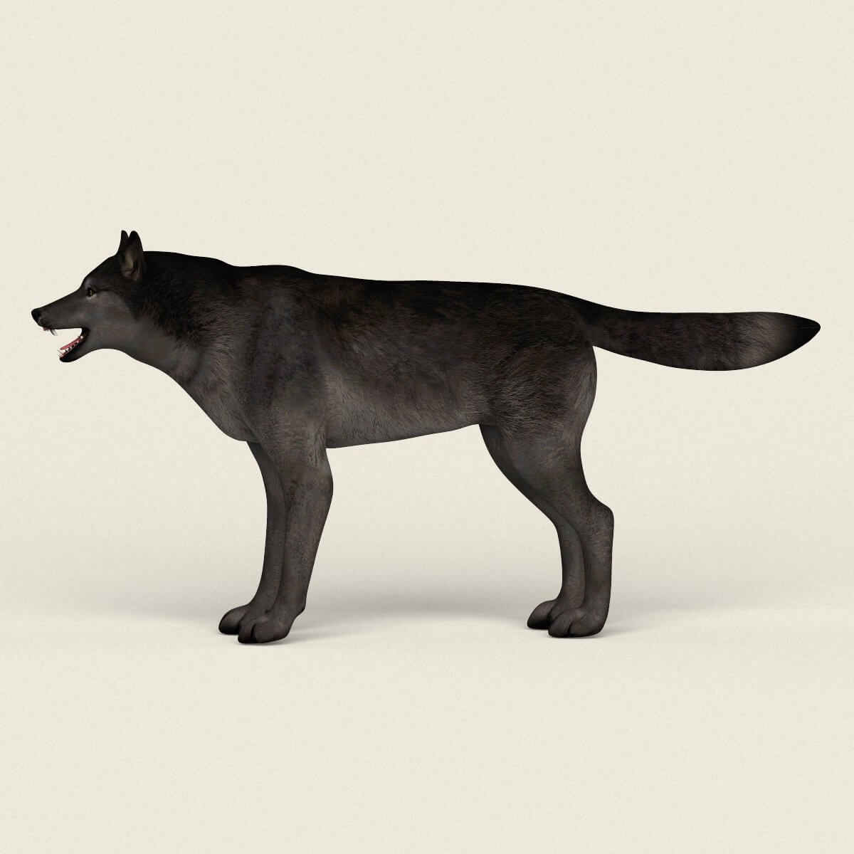 Black Wolf - 3D Model by 3dseller