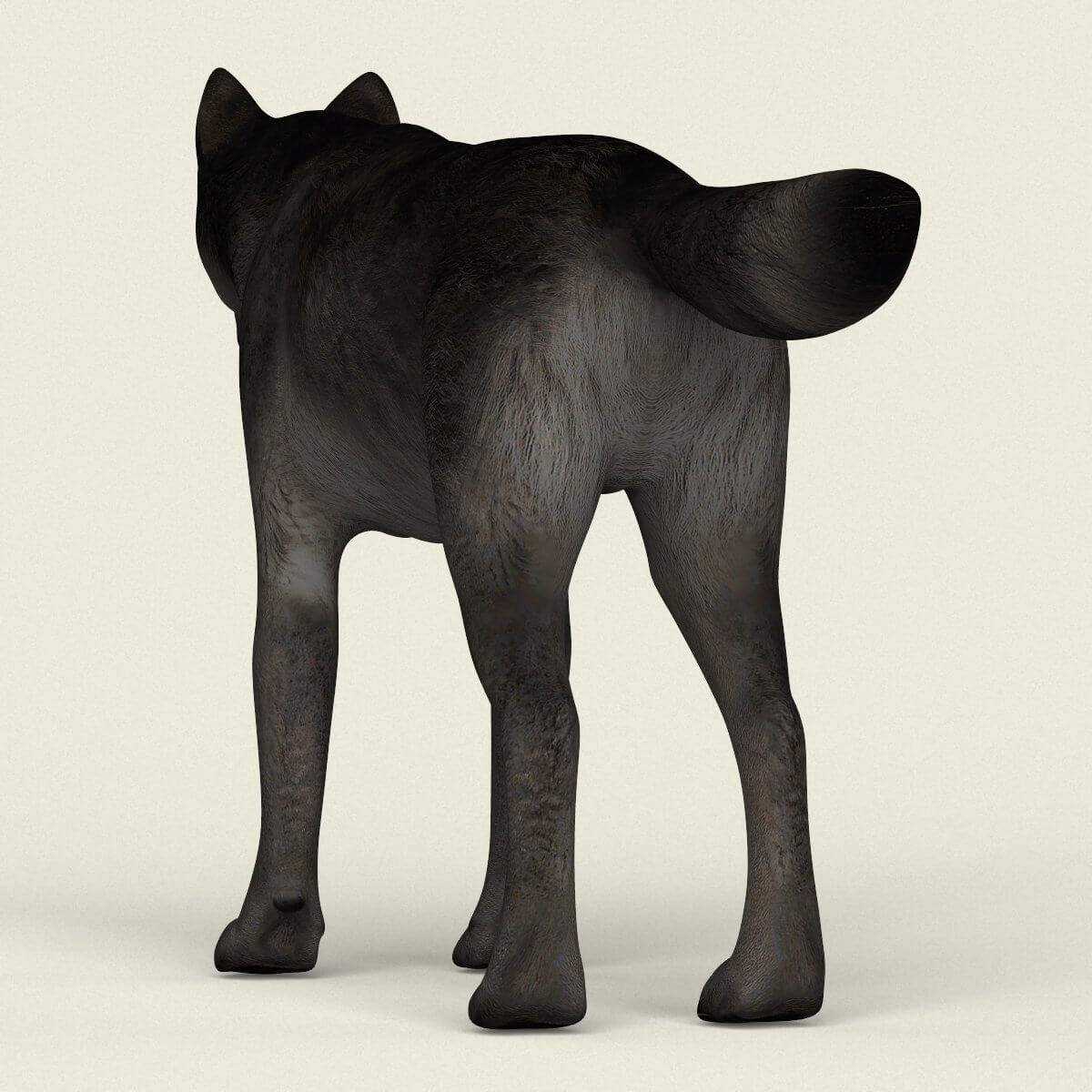 Black Wolf - 3D Model by 3dseller