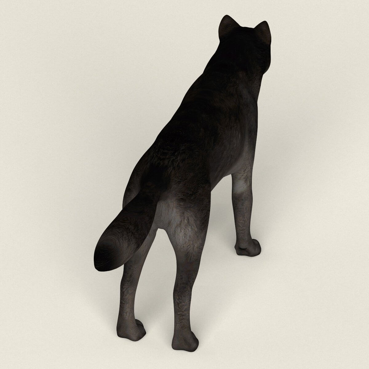 Black Wolf - 3D Model by 3dseller