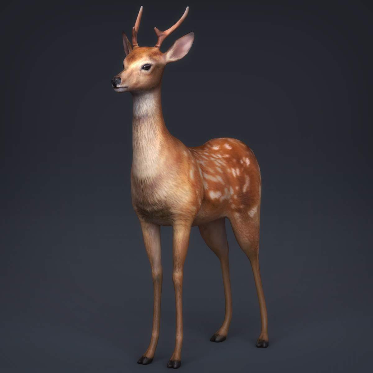 Deer - 3D Model by 3dseller