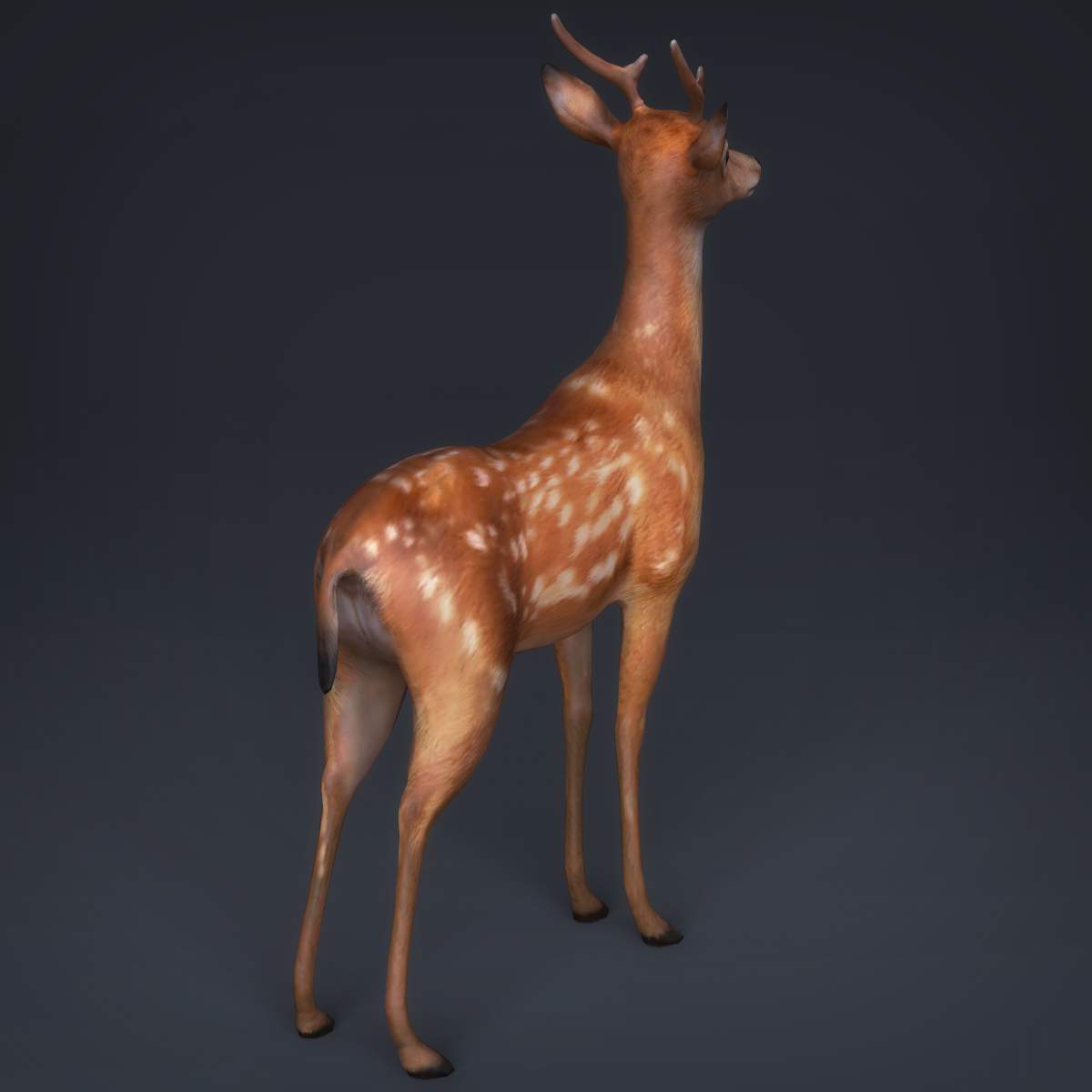 Deer - 3D Model by 3dseller