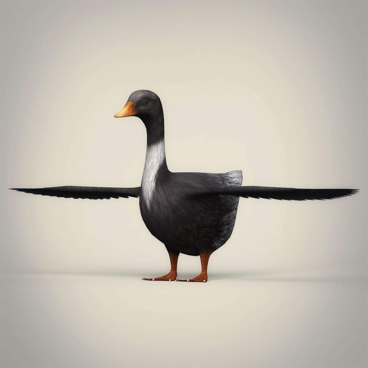 Duck - 3D Model by 3dseller
