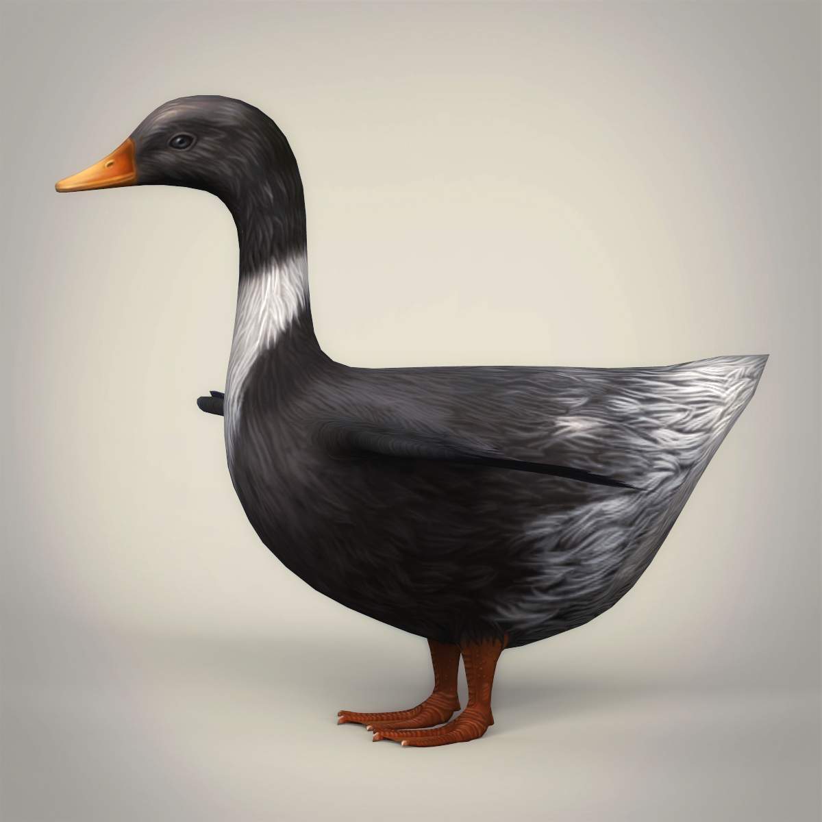 Duck - 3D Model by 3dseller