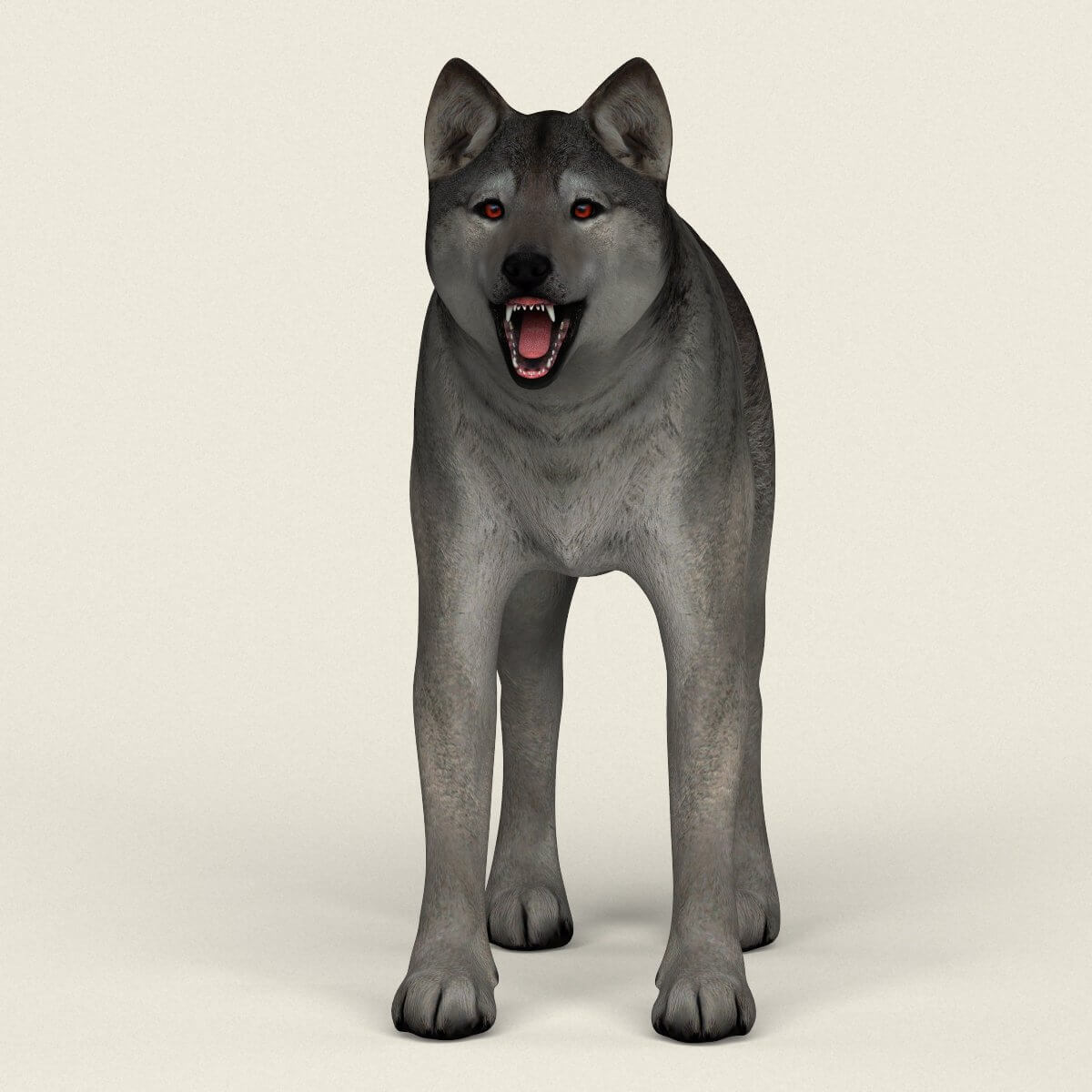 Grey Wolf - 3D Model by 3dseller