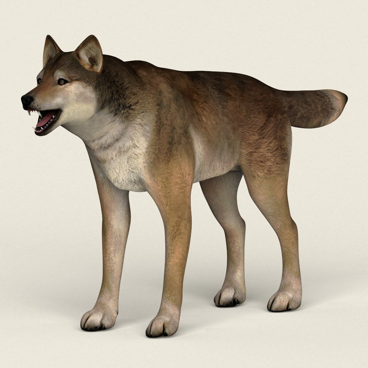 Red Wolf - 3D Model by 3dseller