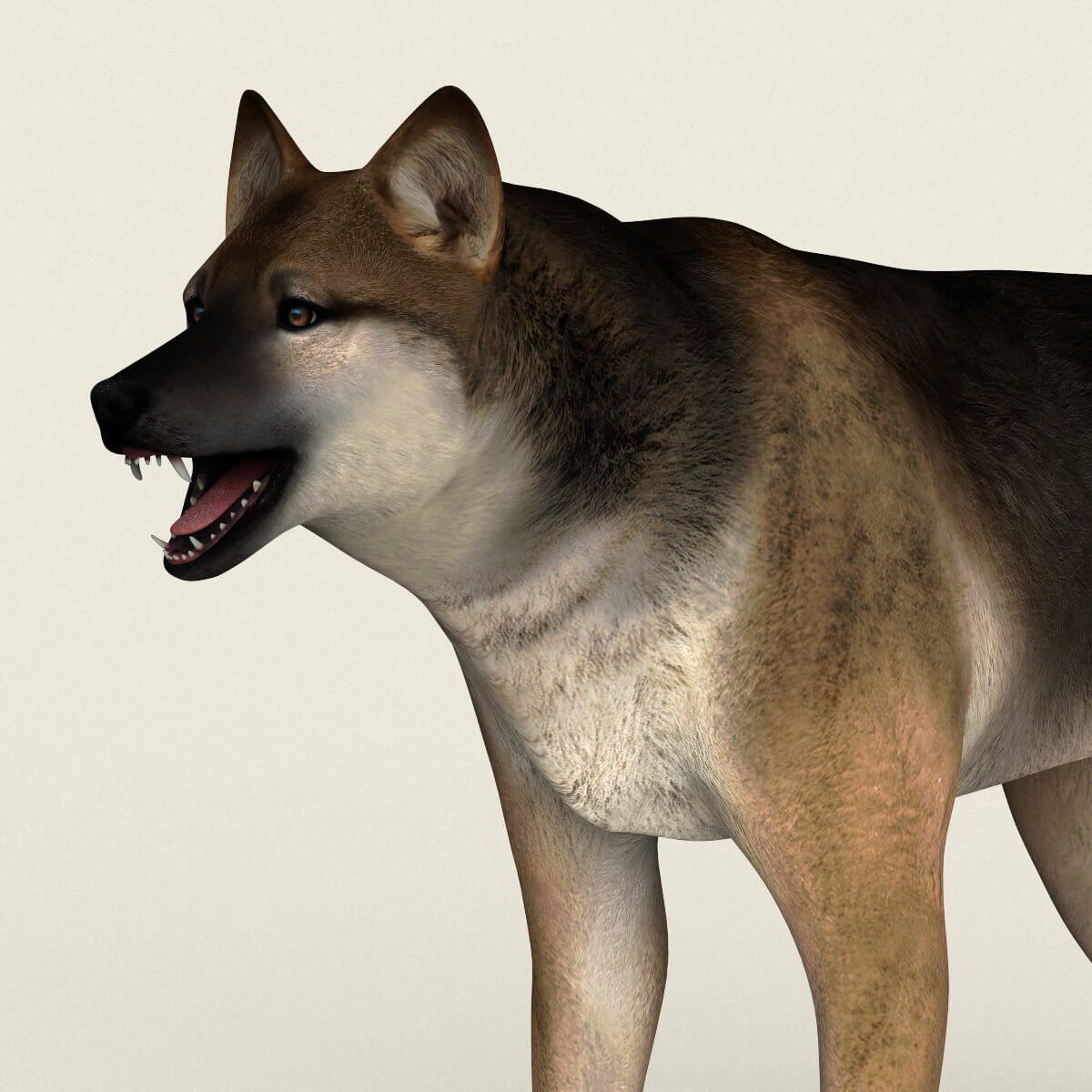 Wolf - 3D Model by 3dseller