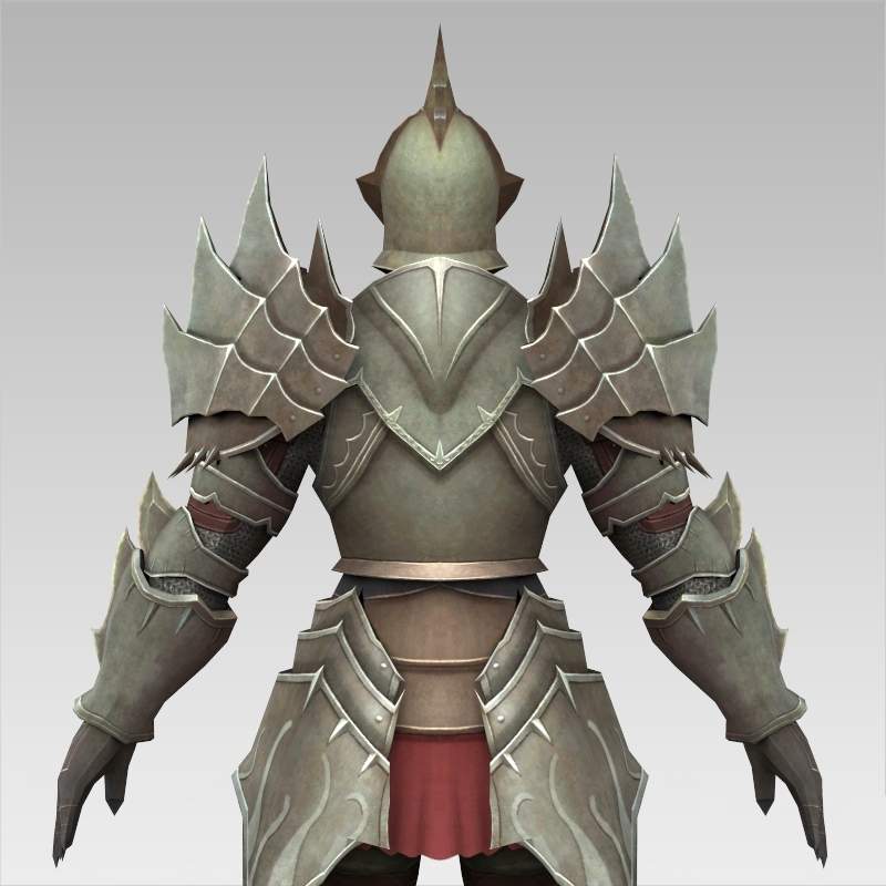 Warriors Man Armor