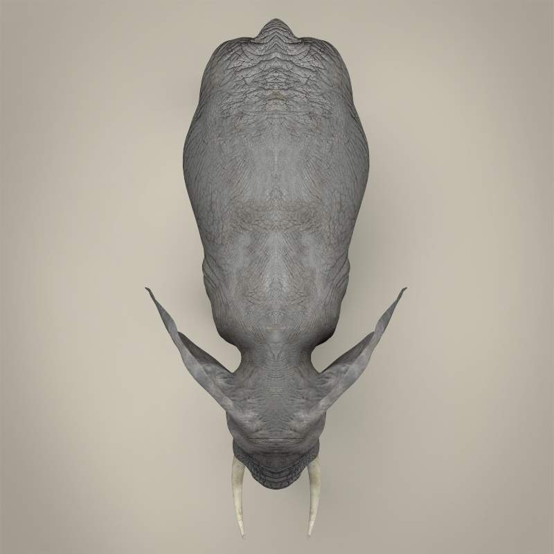 Asian Elephant - 3D Model by 3dseller