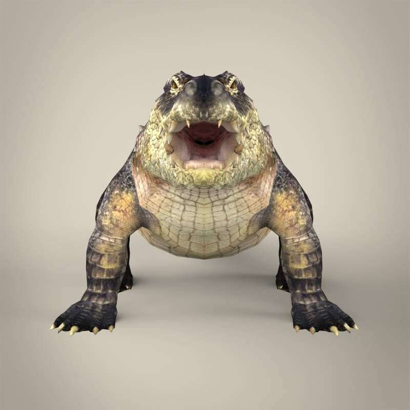 Crocodile - 3D Model by 3dseller