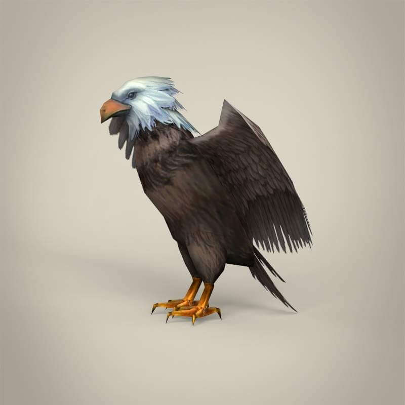 Realistic Eagle - 3D Model by 3dseller