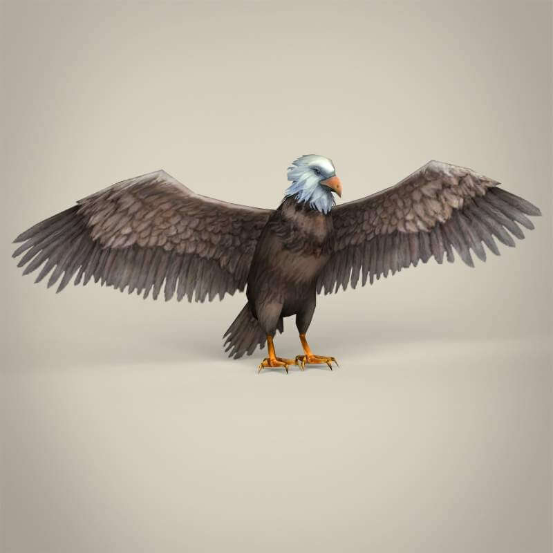 Realistic Eagle - 3D Model by 3dseller
