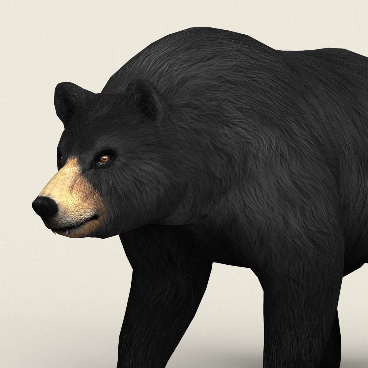 Bear - 3D Model by 3dseller